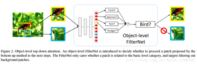 Two-level attention model for fine-grained Image classification | 小蜜蜂