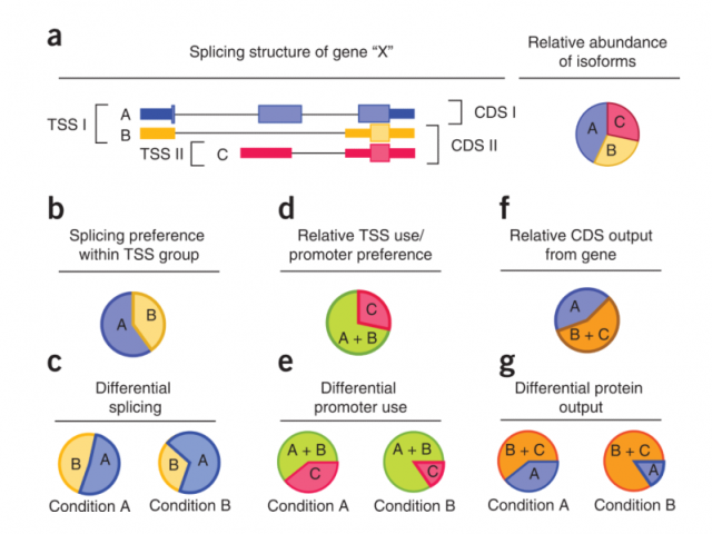 使用Tophat+cufflinks分析差异表达 | 使用